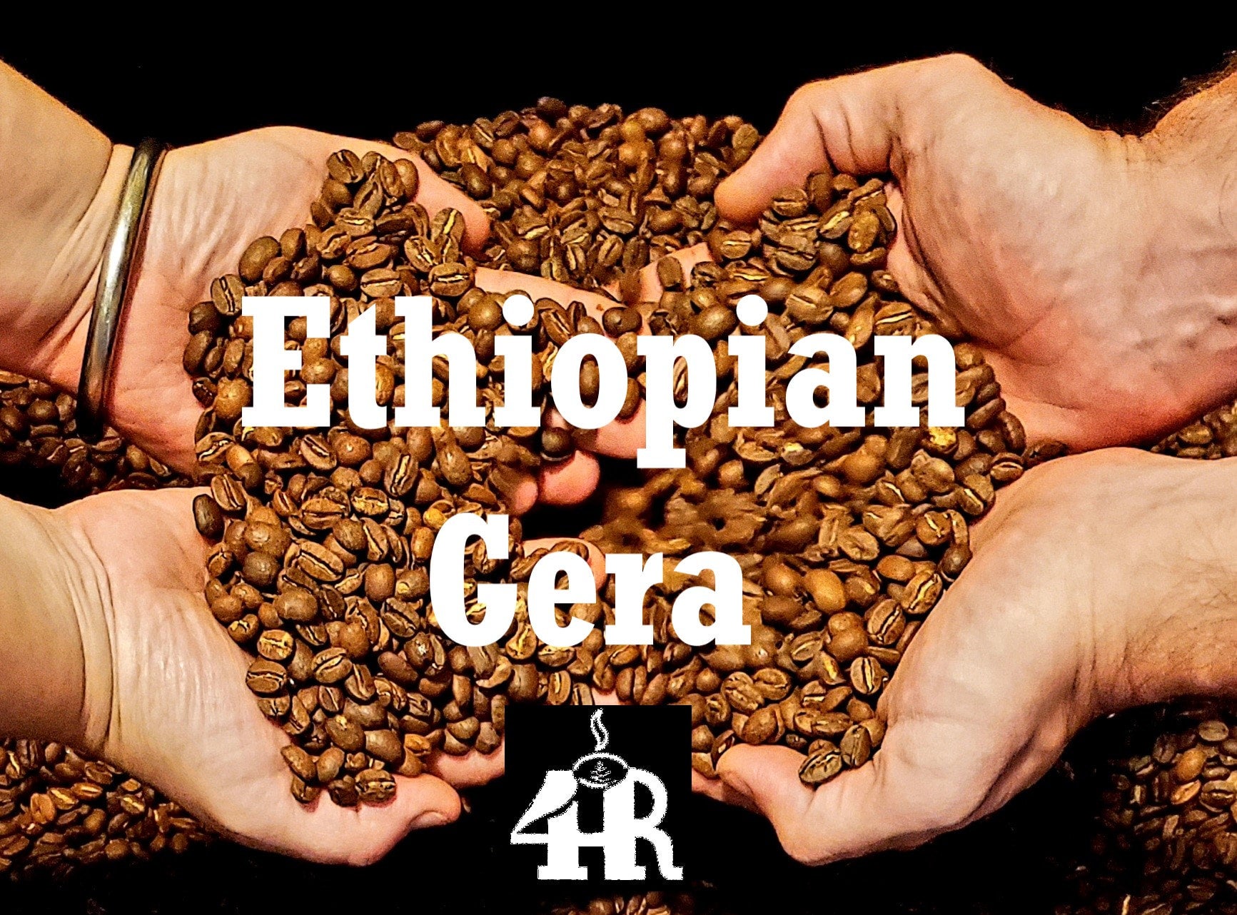 Single Origin Ethiopian Gera Light Roast | Four Hands Roastery